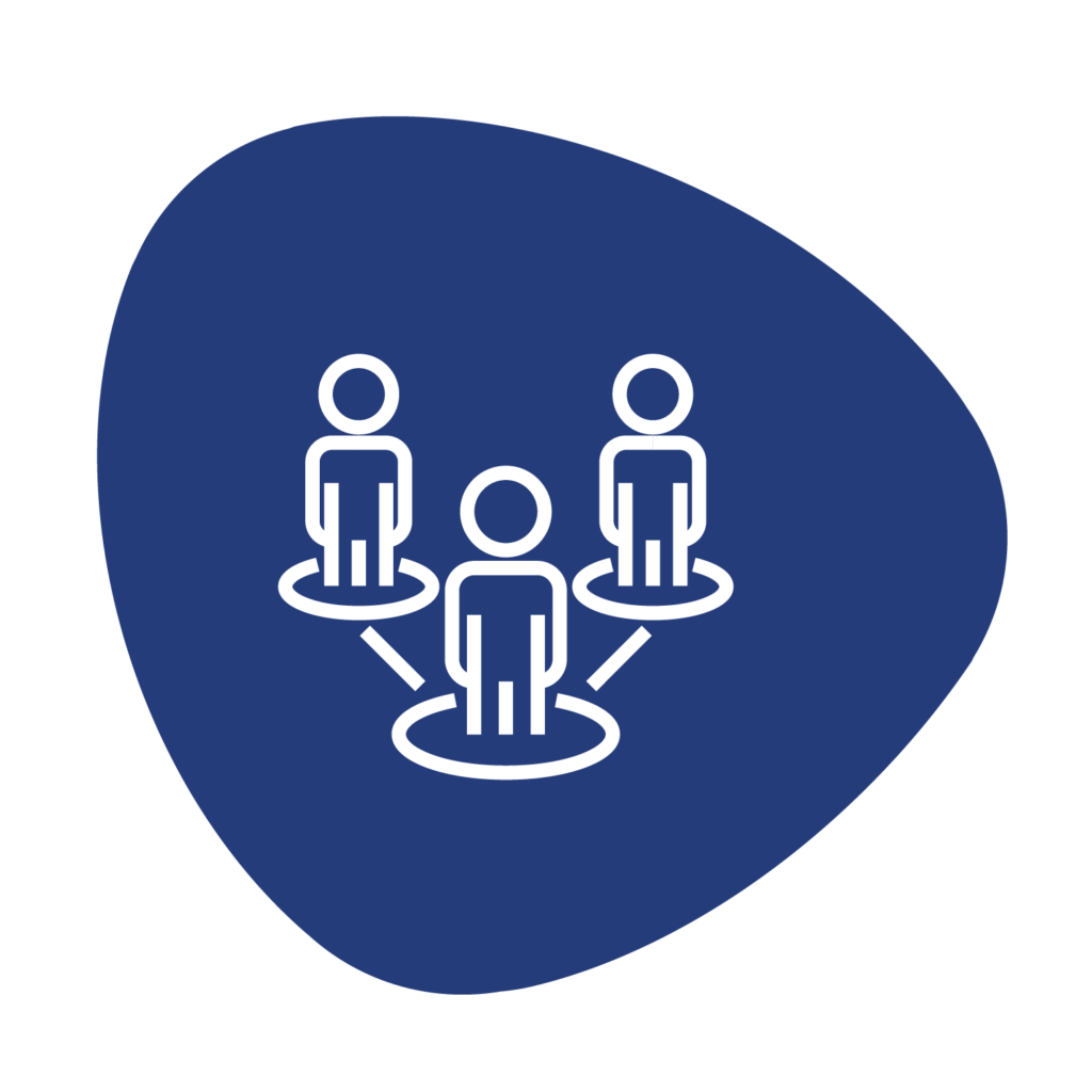 Enterprise Software Solutions | Microsoft Partner | Mint Group